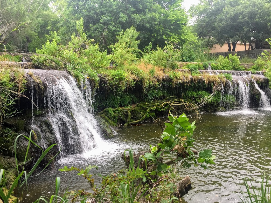 Hamilton Greenbelt – Lakeway, TX 6/23/19 – Pierce Wanderings